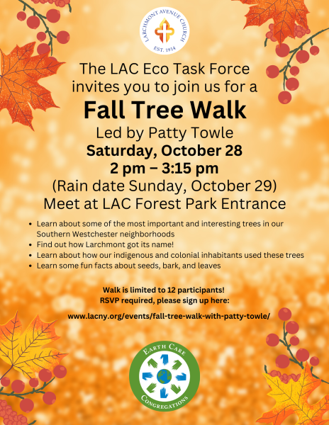 Fall Tree Walk with Patty Towle - Larchmont Avenue Church
